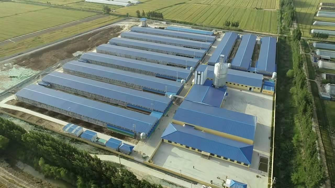 Animal-friendly natural mating breeder raising equipment solution