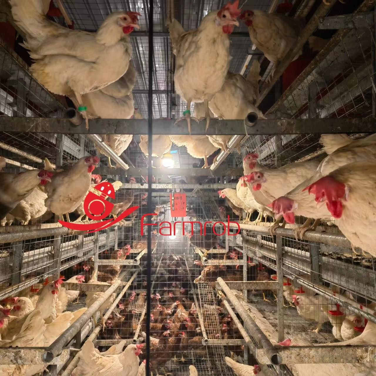 Strong Collaboration Between Enterprises and Universities: New ...