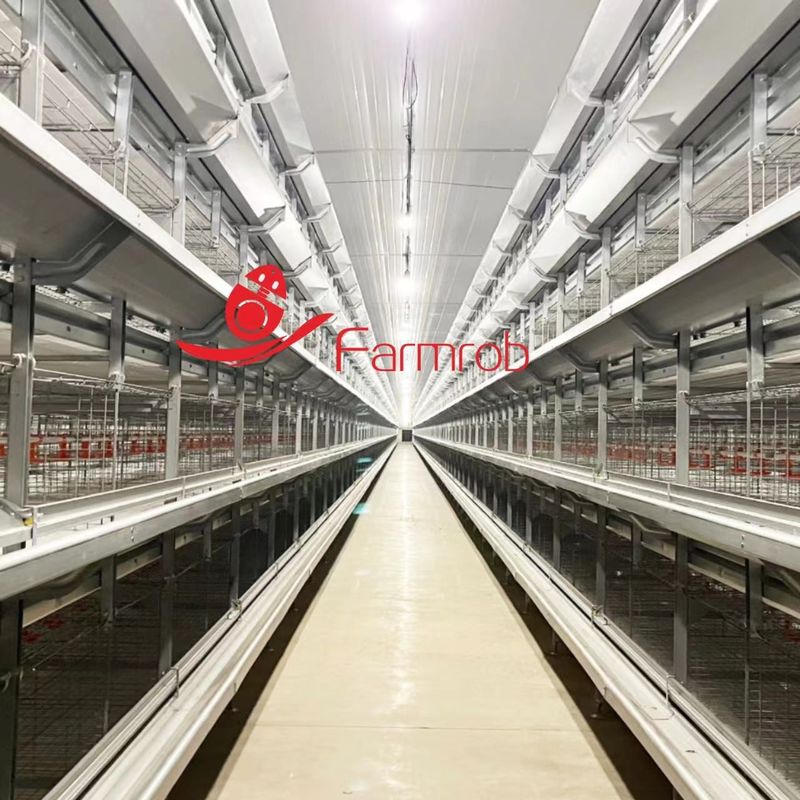 3 Tiers-8 Tiers Poultry Battery Cage System Optimized Consumption Chick ...