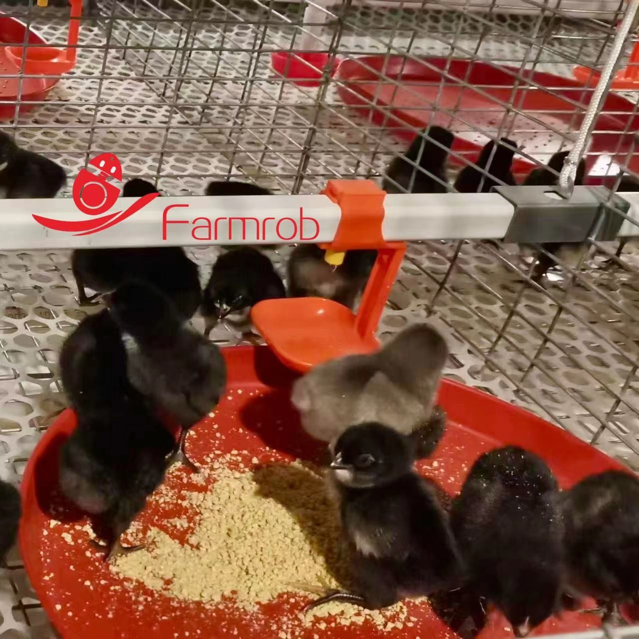 3 Tiers-8 Tiers Poultry Battery Cage System Optimized Consumption Chick ...