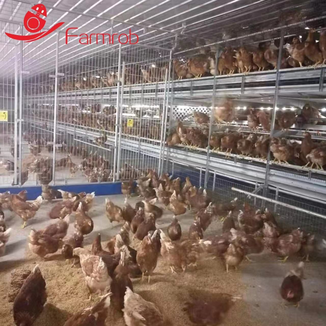 3 Tiers Welfare Cage Free System Maximisation Of Available Space For ...