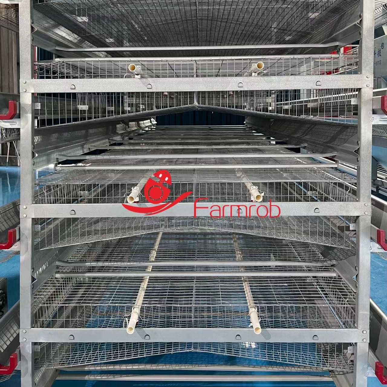 Automatic 3 Tier - 6 Tiers Quail Cage System Poultry Quail Farming Cage