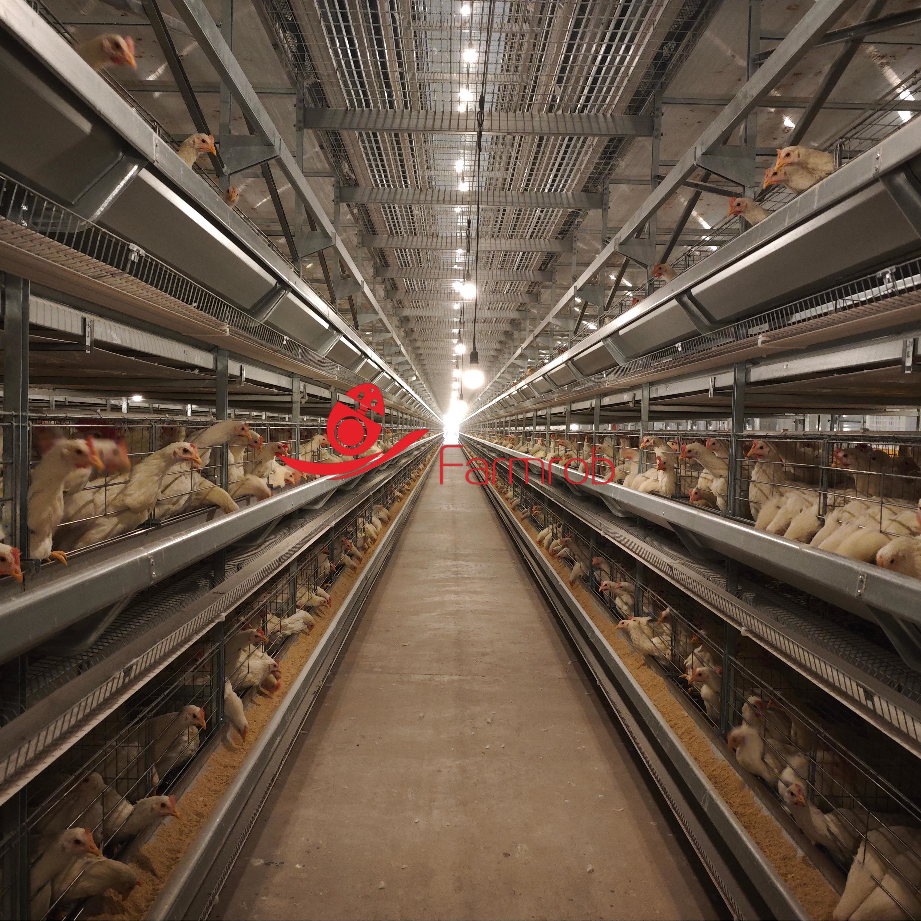 Advanced performance 9-Tier H Type Layer Chicken Cage System ...