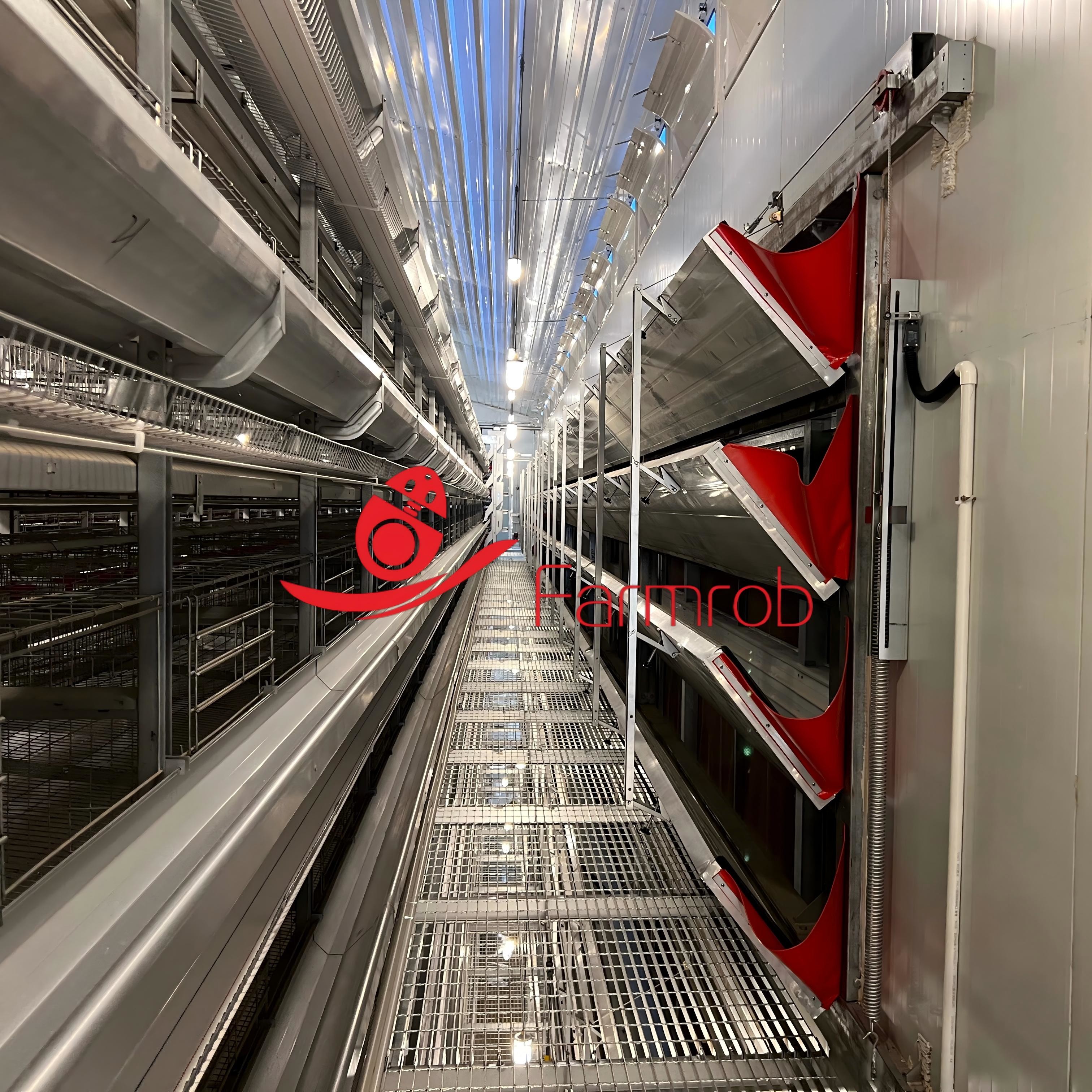 Uniform feed Layer Chicken Cage System Hot-Dip Galvanized Hopper