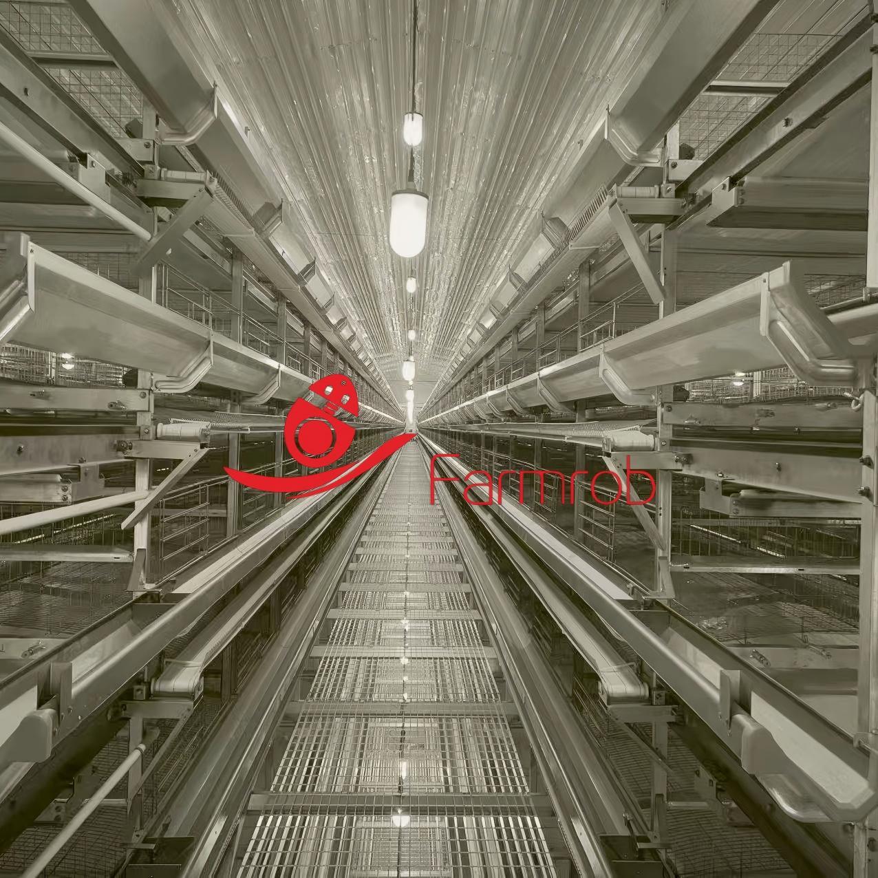 High Standards Layer Chicken Cage System with Double water line