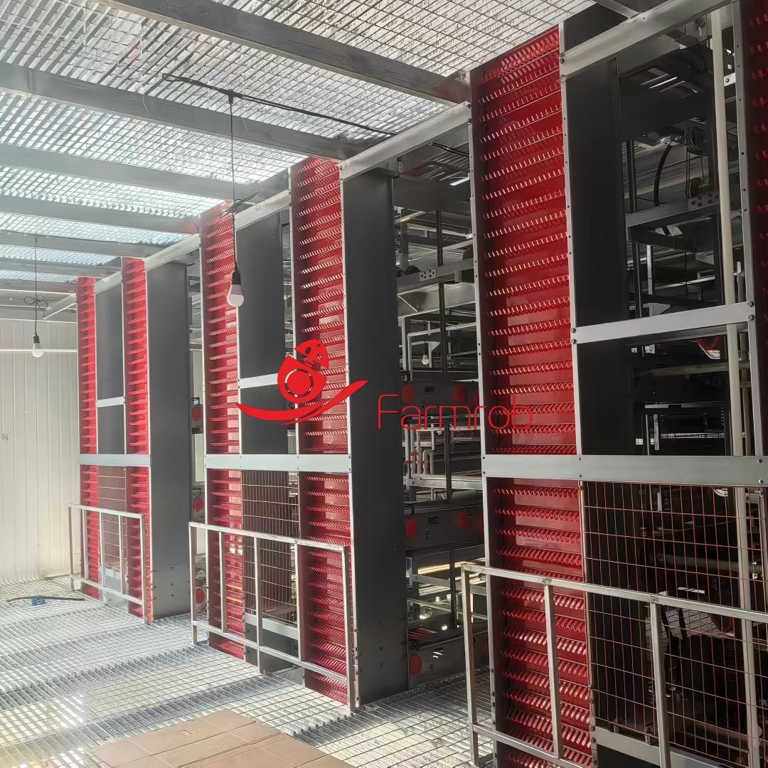 80000 Layer Chicken Cage System Good Load-bearing Capacity