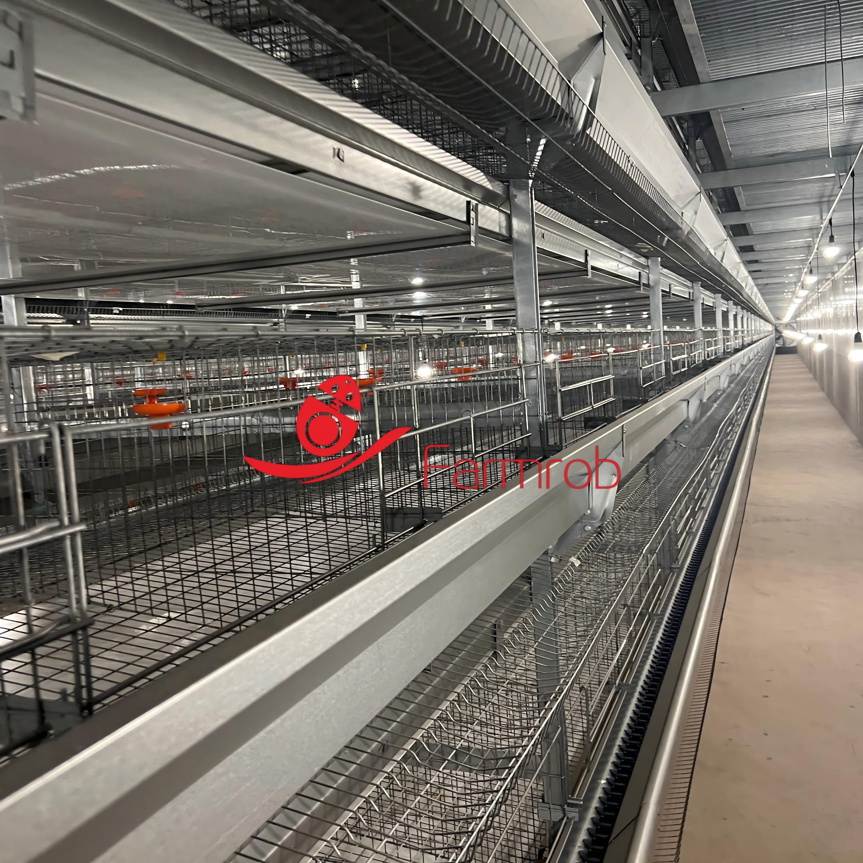 60000 Layer Chicken Cage System Healthier Environment