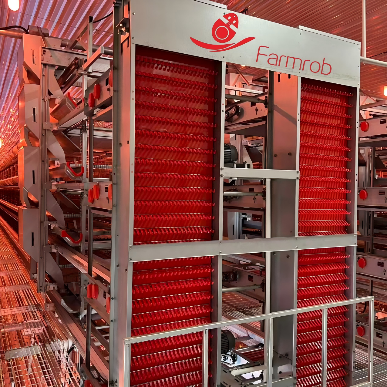 Easy Management Layer Chicken Cage System for all poultry farm