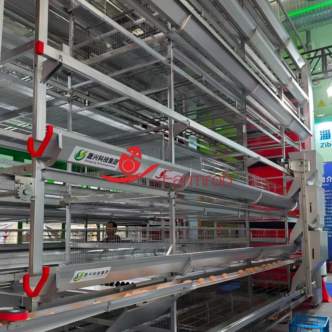 30000 Layer Cage System with Suitable Temperature in Saudi Arabia