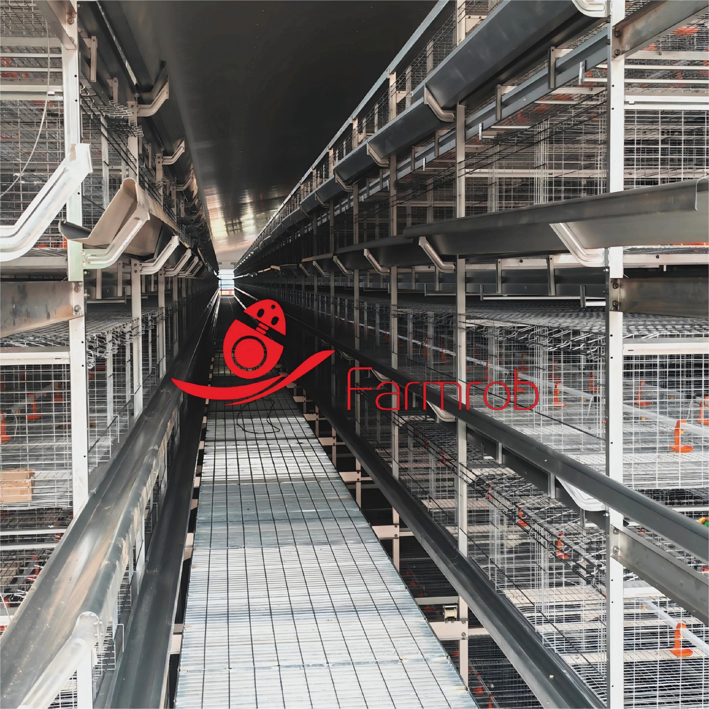 3-8 Tier Poultry Battery Cage System for Modern Farms