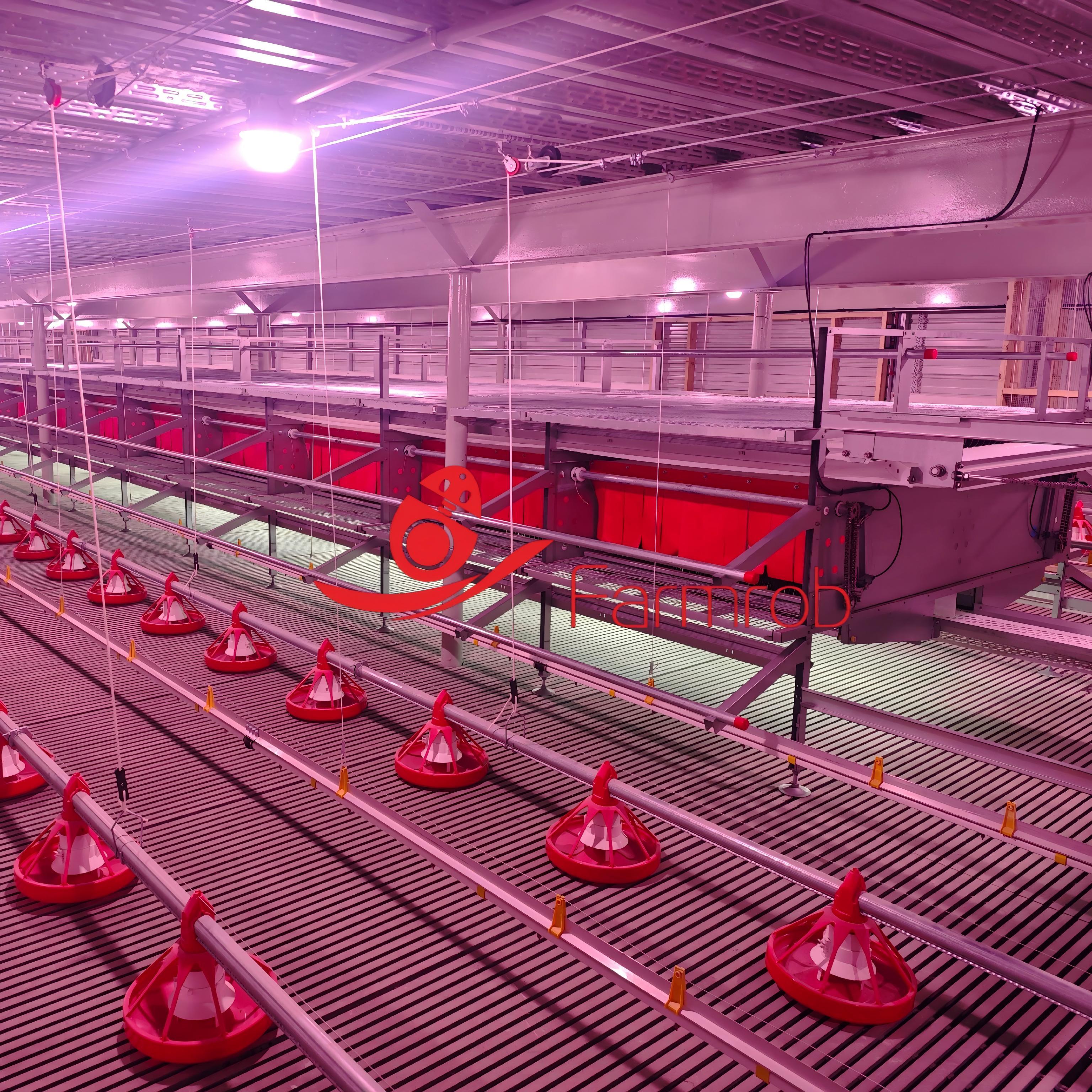 Open Structure Cage-Free Poultry System for USA Farms