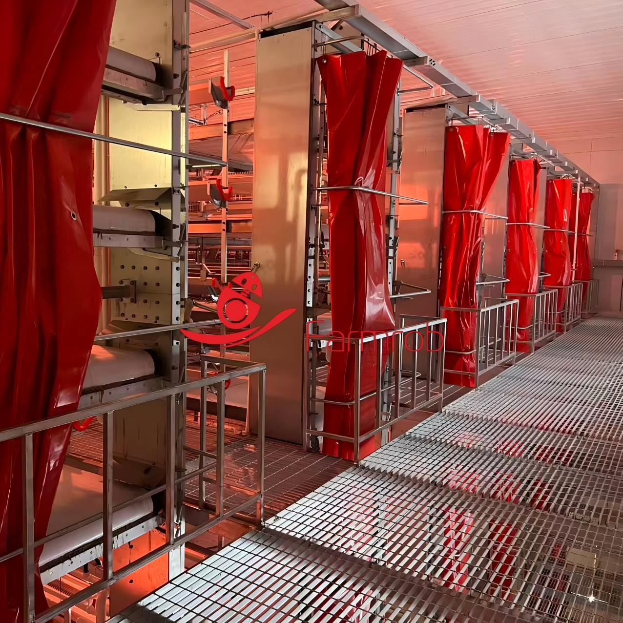 Automated Manure Removal Chicken Cage System for Poultry Farms