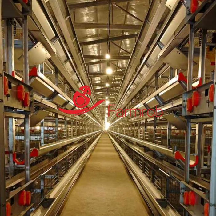 Enclosed Layer Chicken Cage System with Automatic Features