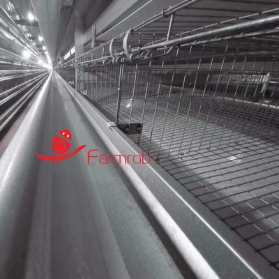 Automatic 3 Tier - 6 Tiers Quail Cage System Poultry Quail Farming Cage